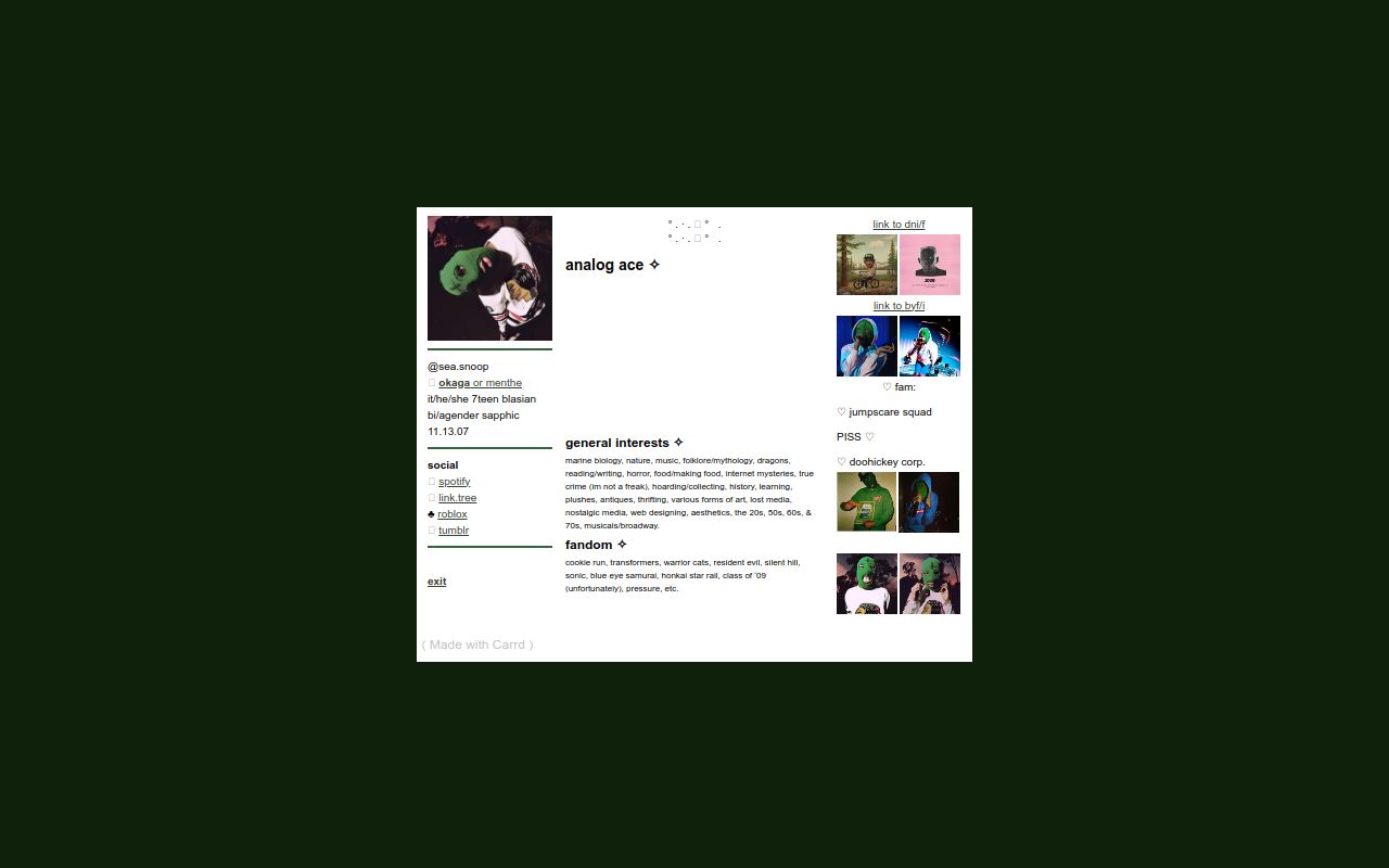 analog ace 𓆩♡𓆪